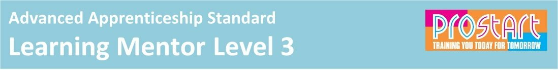 Learning Mentor Level 3 Advanced Apprenticeship - Prostart